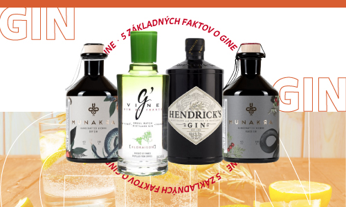 5 základných faktov o gine | Walperdrinks.sk